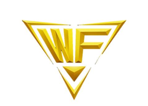[2020 PEL S1 战队巡礼]——WEFUN篇 - 知乎