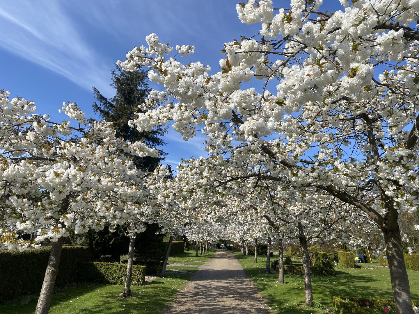 DM-RS和PT-RS - 知乎