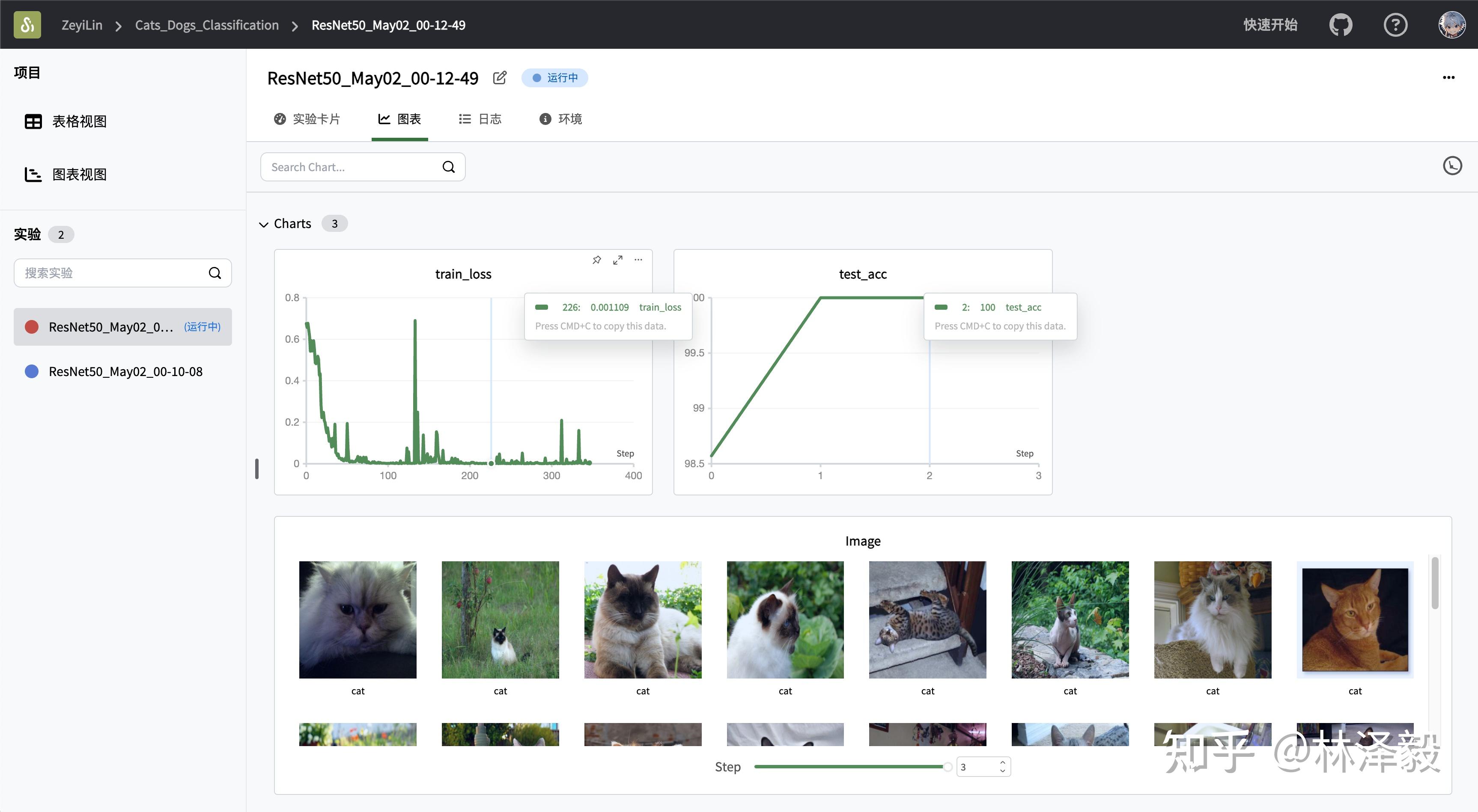 PyTorch猫狗分类：从SwanLab可视化训练到Gradio Demo网站 - 知乎