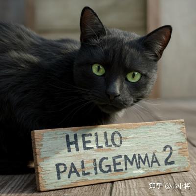 谷歌升级版VLM模型PaliGemma 2 mix开源，支持多种任务！ - 知乎