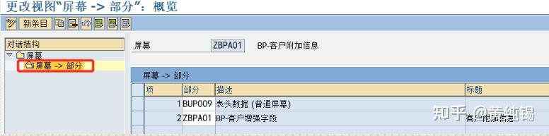 SAP之BP屏幕增强 - 知乎