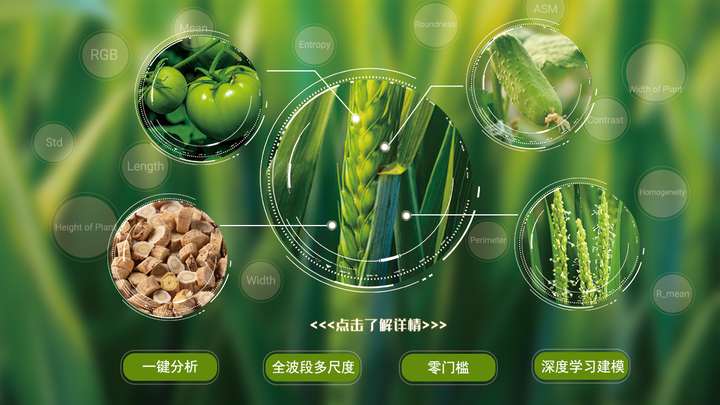 近端表型自动化分析系统PhenoAI Near - 知乎