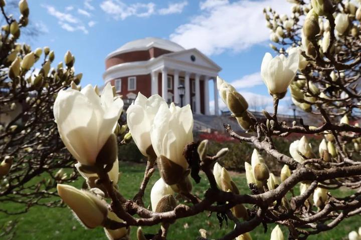 RD放榜！2024FALL美本常规录取offer公布，中国学生录取战况如何 - 知乎