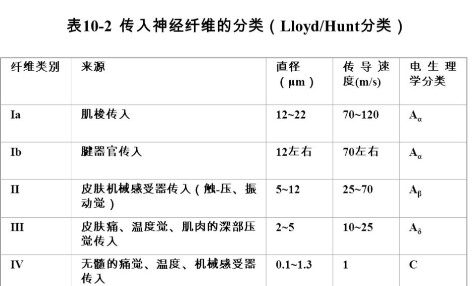 传入神经有哪些种类？ - 知乎