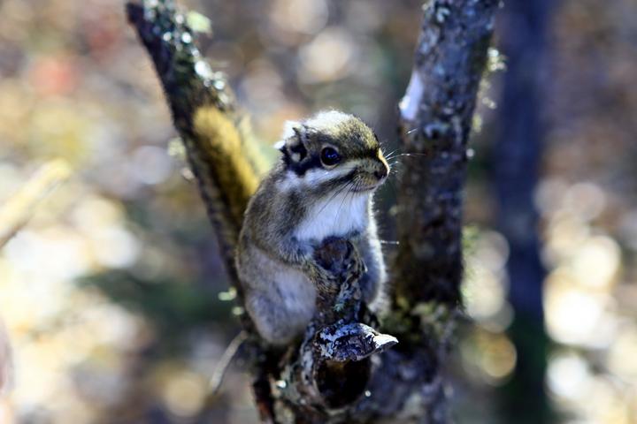 4. HugeGraph安装与使用 - 知乎