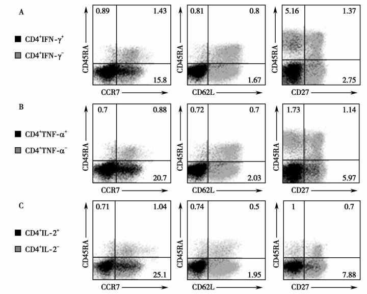 流式细胞术机体免疫功能监测及细胞表型鉴定（试验参考） - 知乎
