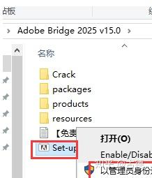 Adobe Bridge BR2025百度云网盘下载与安装教程指南 - 知乎