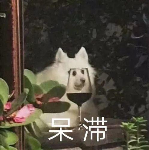 你听说了吗！UCAS取消文书？24fall申请学生：真的？ - 知乎