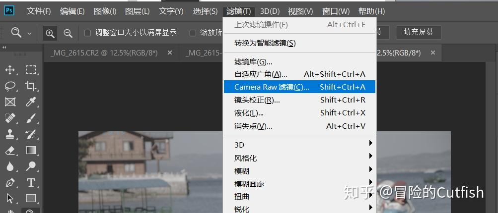 在Bridge cc中不能使用camera raw 的编辑功能，解决方法 - 知乎