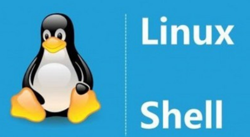 linux shell命令行wc使用详解 - 知乎