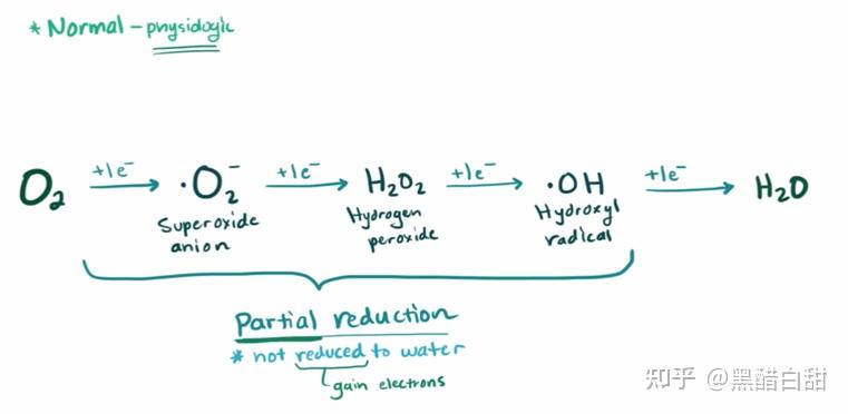 活性氧自由基（ROS）是好是坏？ - 知乎
