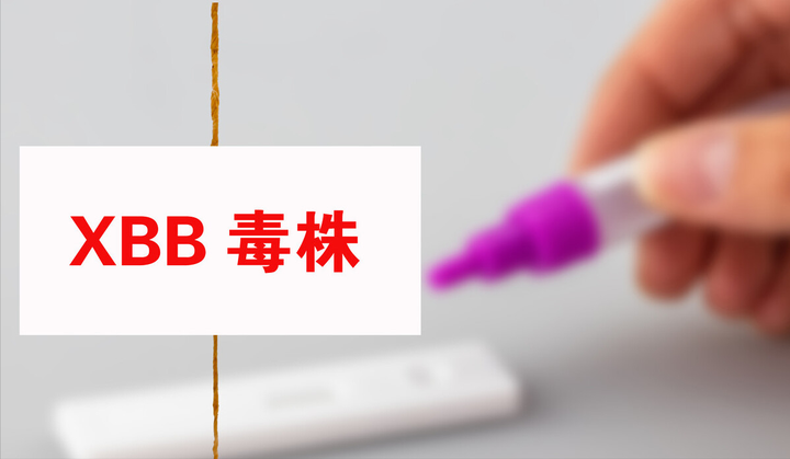 研究：XBB引发大流行可能性极低 - 知乎