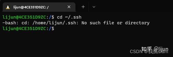 github配置SSH-Key保姆教程 | Maelsee Blog