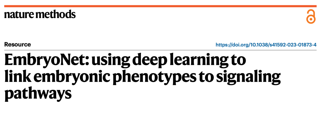 Nature Methods | 利用深度学习将胚胎表型与信号通路相连接 - 知乎