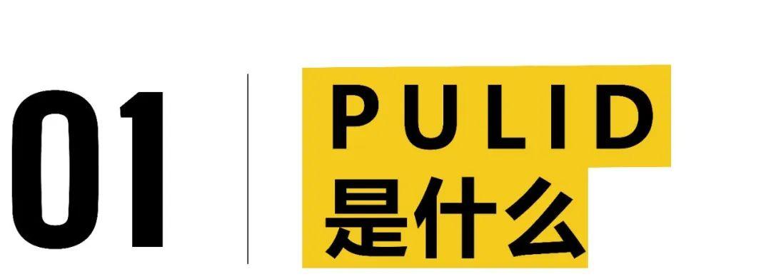 字节推出新项目PULID，只需一张图就可定制高效身份ID（附详细使用教程） - 知乎
