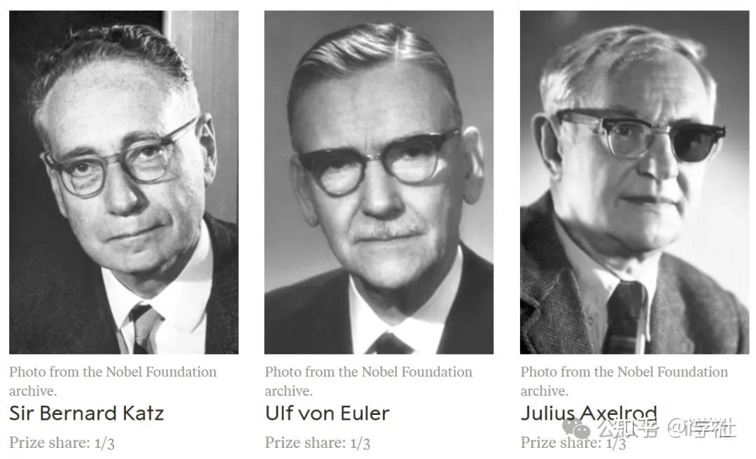 是什么因素导致神经递质释放？ |《神经科学原理》第十五章：神经递质的释放 - 知乎