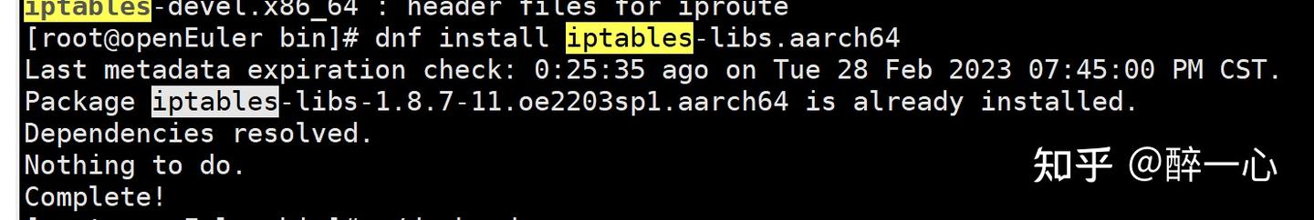 如何在 OpenEuler 系统中安装 Docker - 知乎