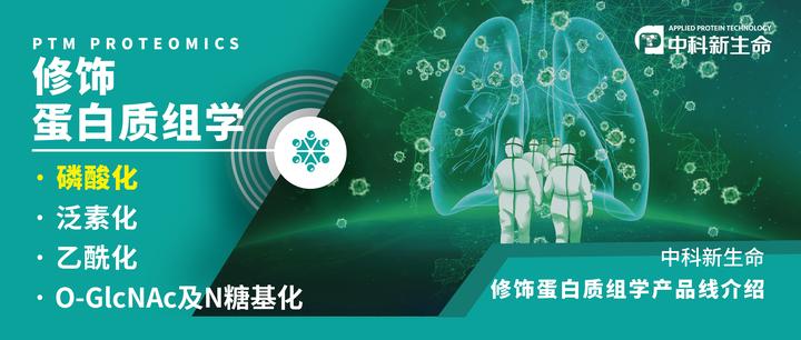 STTT（IF 38.104）| 协和医学院杨俊涛教授团队发布恒河猴感染COVID-19的分子机制及潜在治疗药物 - 知乎