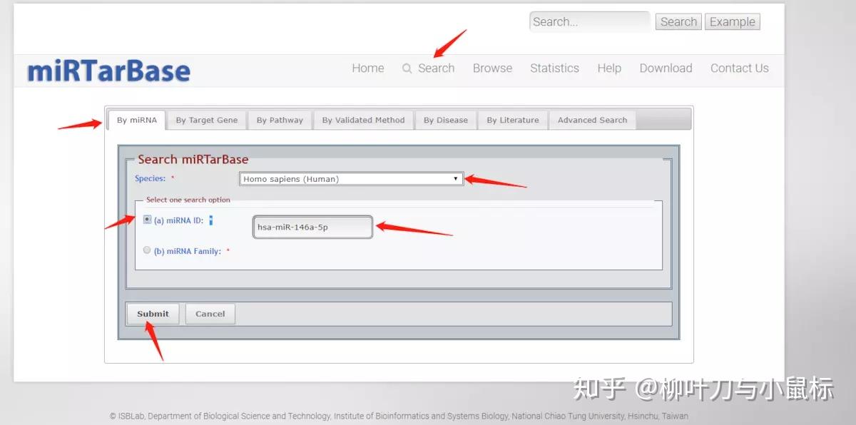 miRTarBase数据库 - 知乎
