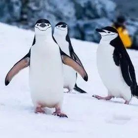 Linux 内核从 C89 迁移到 C11 新进展 - 知乎