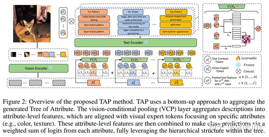 TREE OF ATTRIBUTES PROMPT LEARNING FOR VISION-LANGUAGE MODELS - 知乎