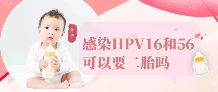 【病例分享】感染HPV16/56可以要二胎吗 - 知乎