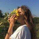 SimNIBS安装教程 - 知乎