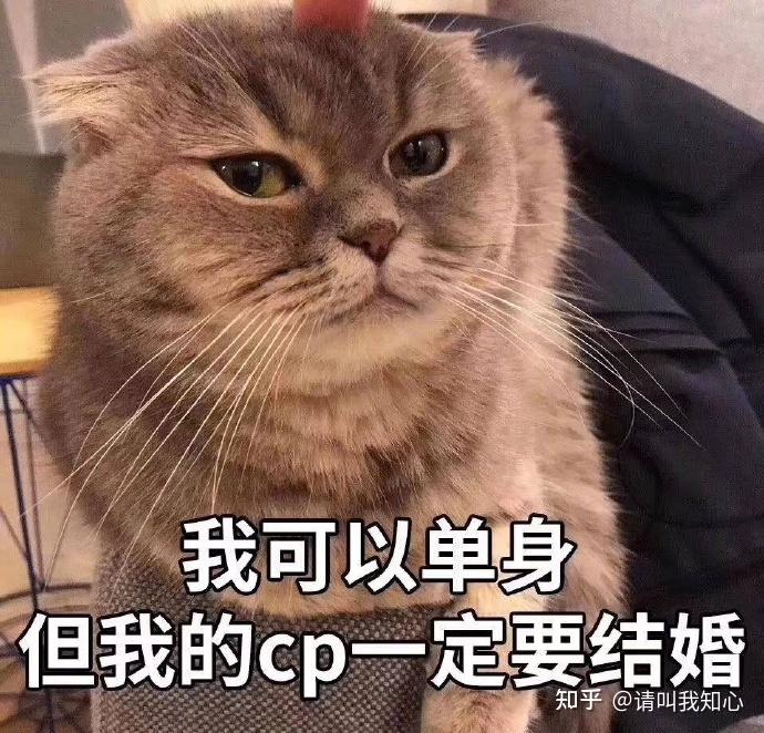 如何科学地解释「嗑 cp」的现象？ - 知乎