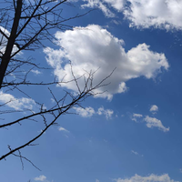 TCL语言学习（1） - 知乎