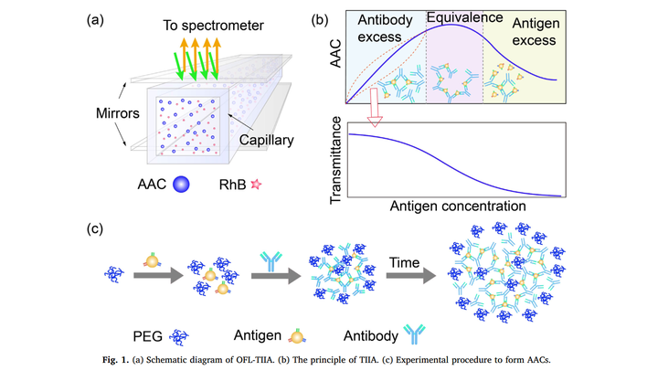 Turbidimetric inhibition immunoassay revisited to enhance its ...