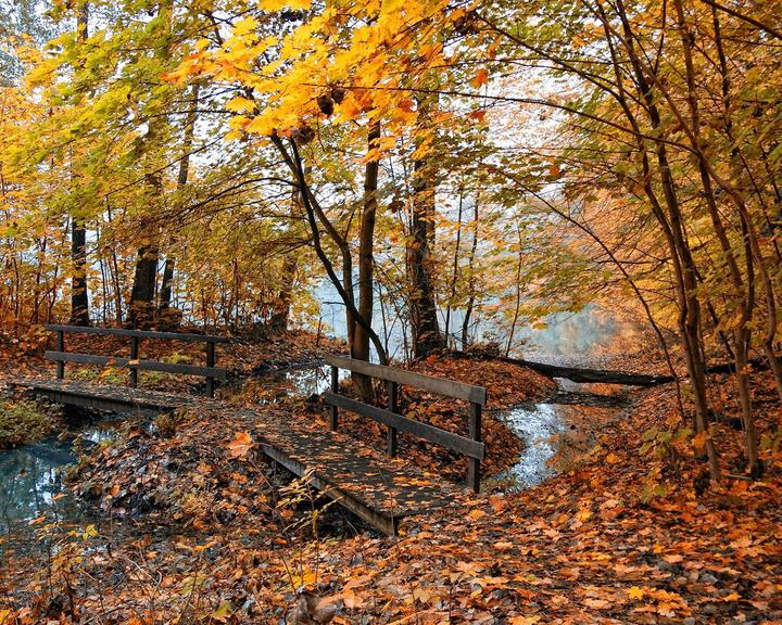 TDM（Tree-based Deep Model）论文阅读笔记 - 知乎