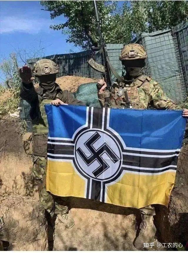 如何看待苏芬战争和二战中芬兰军队识别标志？ - 知乎