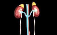 SCI期刊推荐:BMC UROLOGY - 知乎