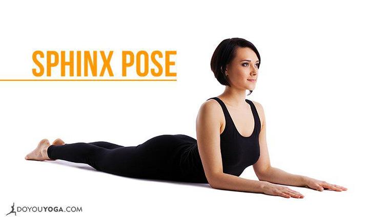 Sphinx + Read the Docs 从懵逼到入门 - 知乎