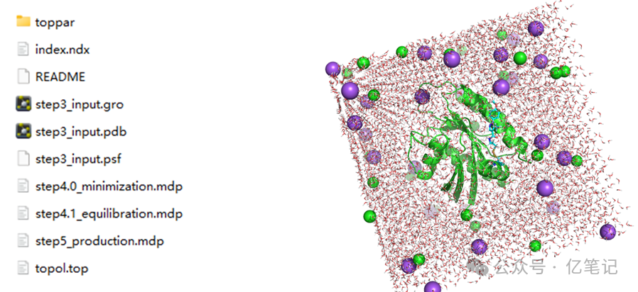 共价体系蛋白配体动力学模拟：CHARMM-GUI建模共价体系 - 知乎