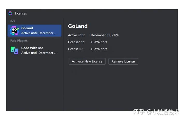 【2025最新】GoLand Go开发环境下载保姆级安装图文教程（全网最详细）【附官方安装包+永久】 - 知乎