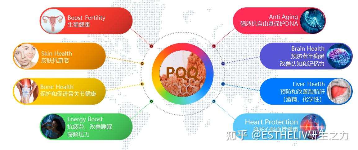 出道即热点的PQQ是什么？ - 知乎