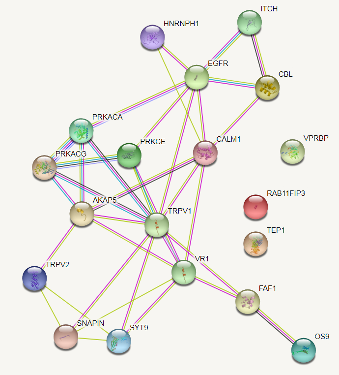 chirp-RNA与蛋白/DNA互作实验技术 - 知乎