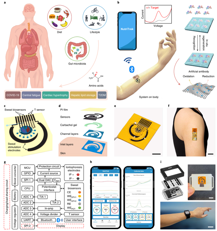 《Nat. Biomed. Eng.》：用于监测代谢物和营养物质的可穿戴电化学生物传感器 - 知乎