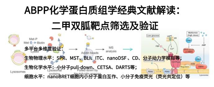ABPP 化学蛋白质组学经典文献解读：二甲双胍靶点筛选及验证 - 知乎