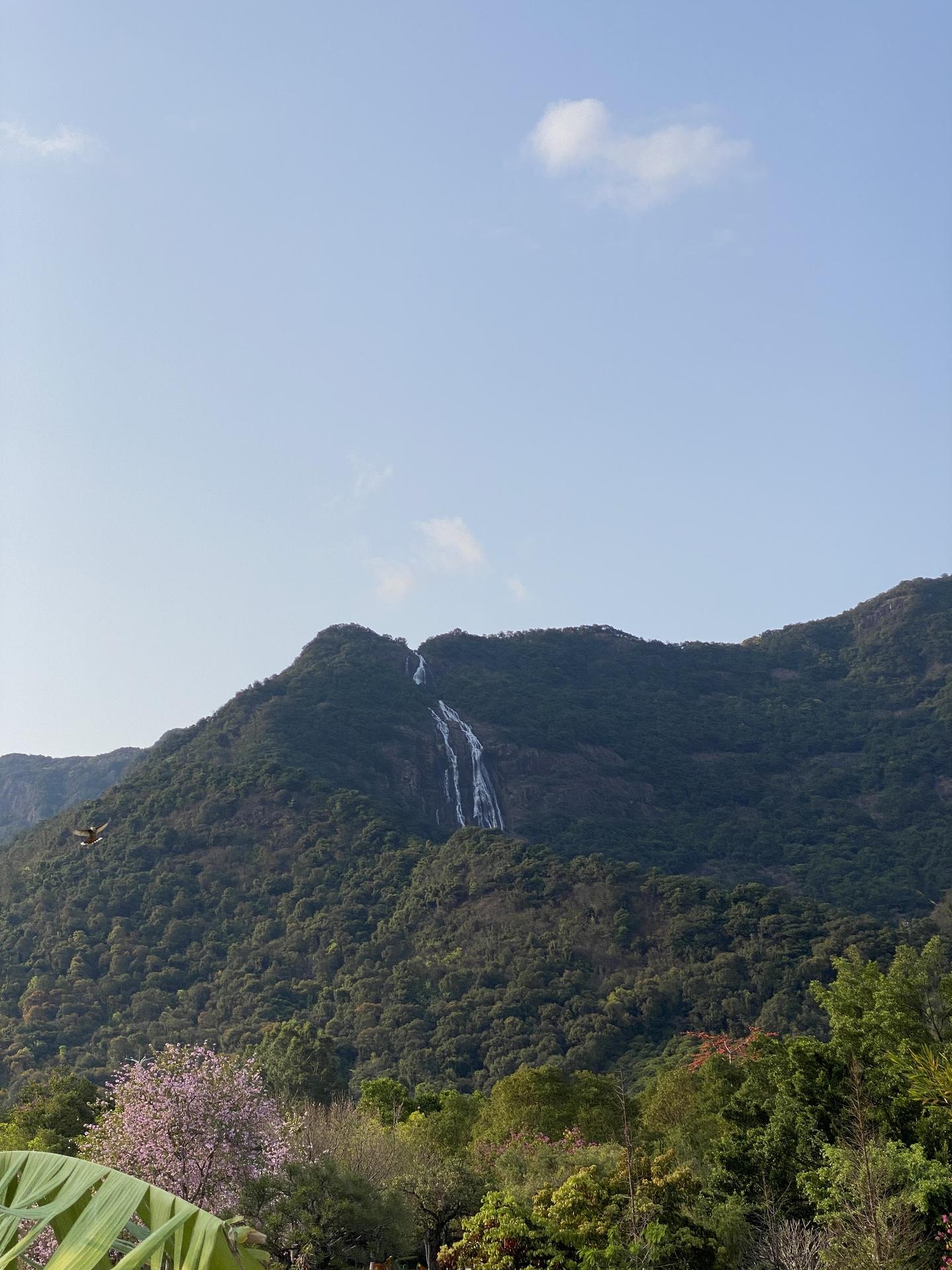 Excelvba批量替换修改同径文件夹Word文件内容 - 知乎