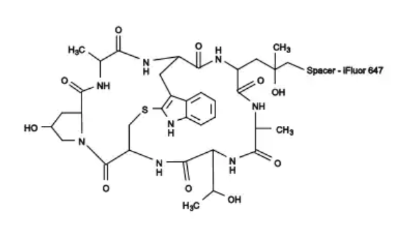 iFluor 647标记鬼笔环肽（远红外荧光） - 知乎