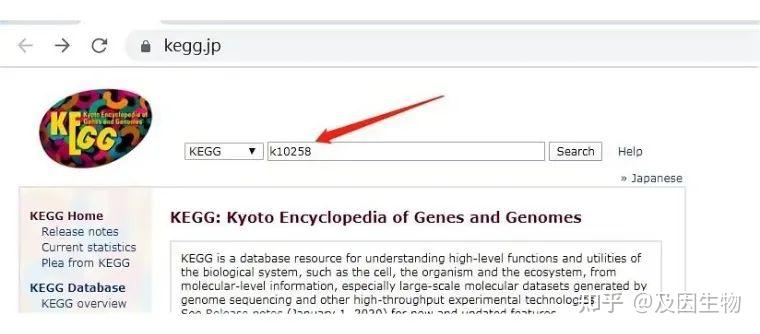 求go/kegg富集分析可视化网站 或者方法？ - 知乎