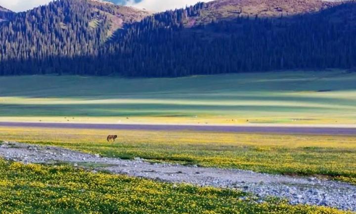 GB4806检测标准是什么 - 知乎