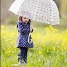 笔记2 (Sherman-Morrison公式) - 知乎