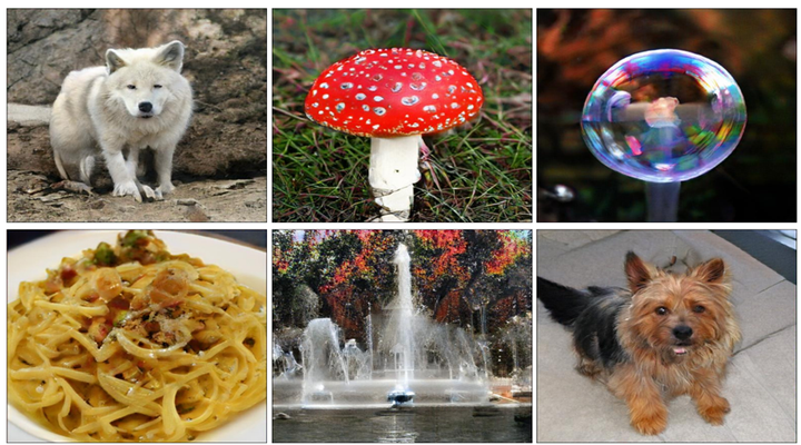 ICLR 2019|BigGAN:Large Scale GAN for Natural Image - 知乎