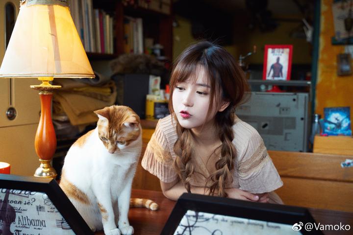 爱猫爱笑的女生，运气一般都会很好——Vamoko - 知乎