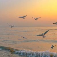 西门子PCS7 V8.2安装指南 - 知乎