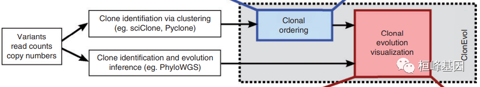 Topic2.克隆进化之ClonEvol - 知乎