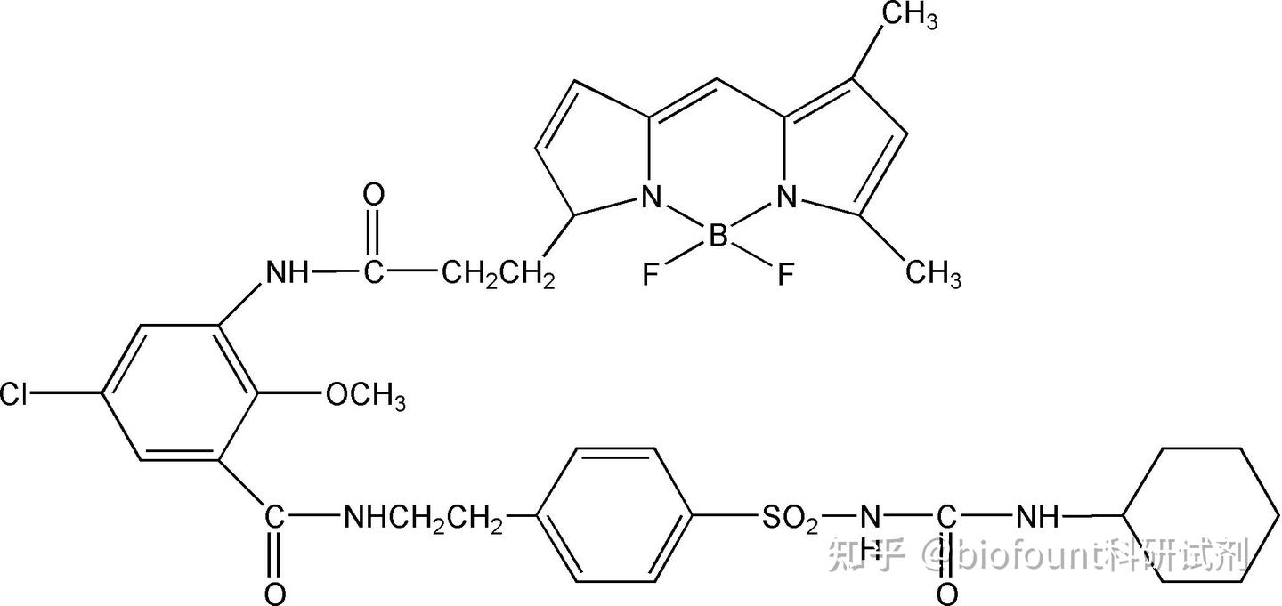 ER-Tracker Green,内质网绿色荧光探针(活细胞) - 知乎